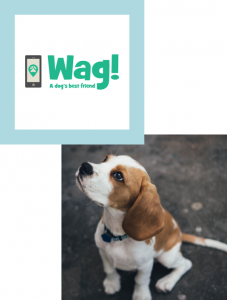 Portfolio - Janine DeVault