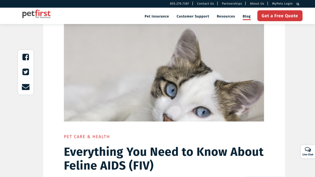 Portfolio | Janine DeVault