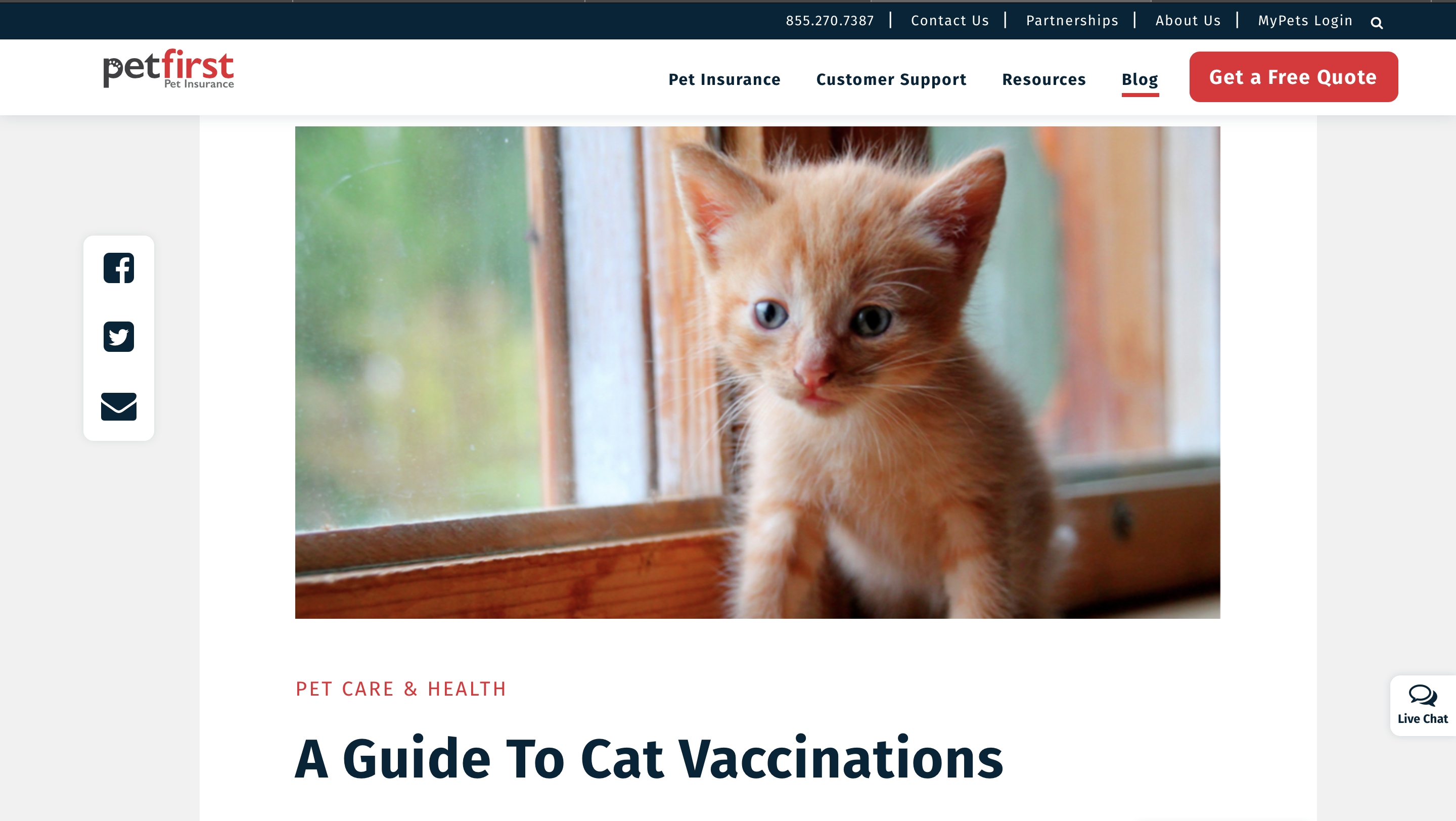 Portfolio | Janine DeVault